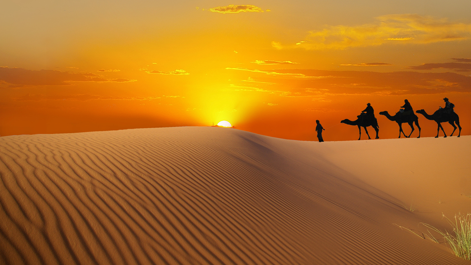 Prof Jacob Jones Awarded Seed Grant to Expand Phosphorus Research ...